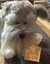 Webkinz Schnauzer for sale online | eBay