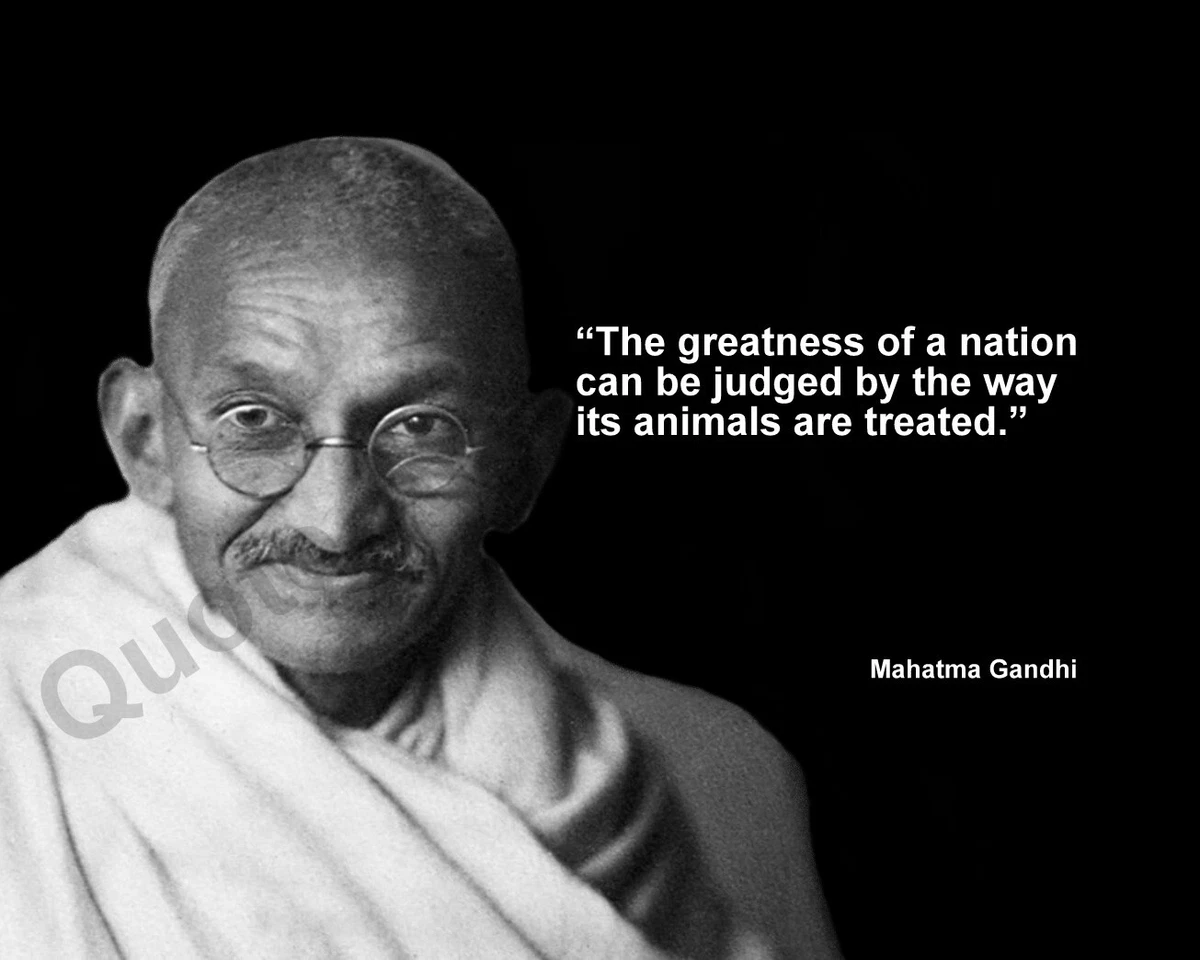 Gandhi Quotes Animals