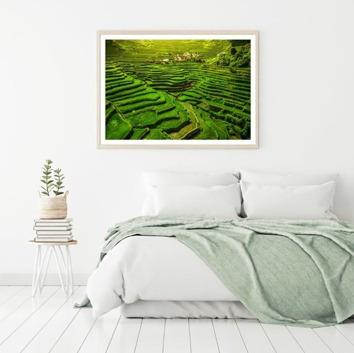 Paddy Fields in Vietnam Scenery Print Premium Poster High Quality ...