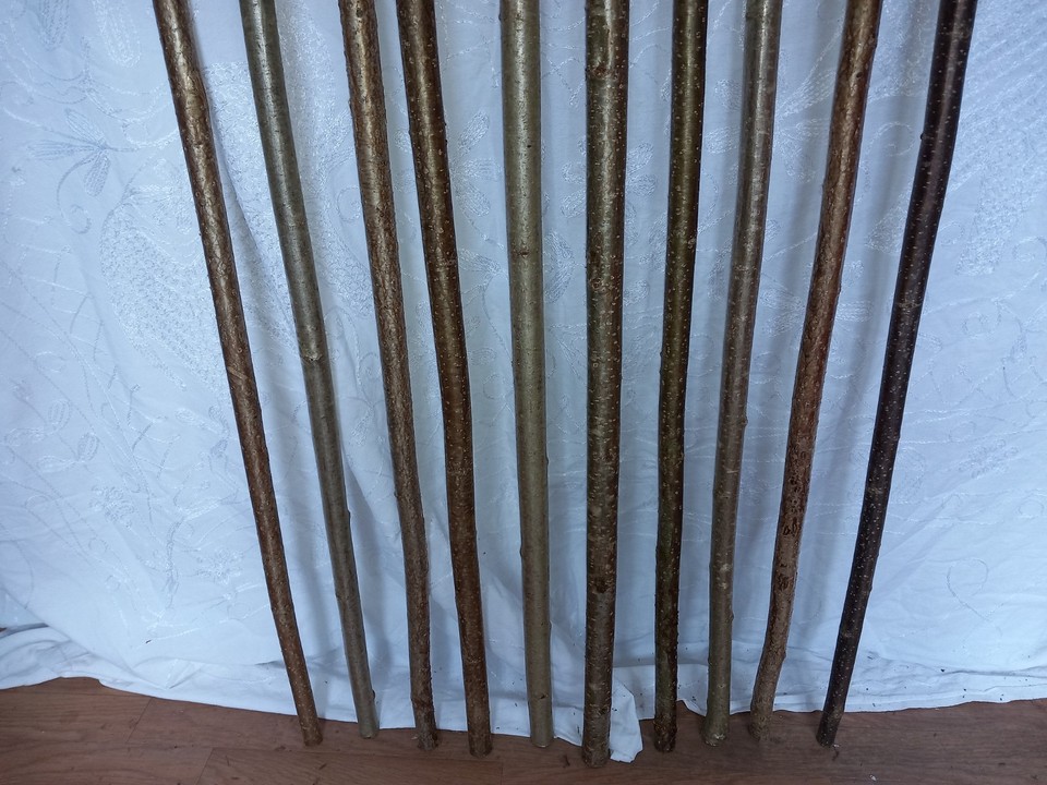 10 X HAZEL QUALITY SHANKS, WALKING STICK MAKING BLANKS COUNTRY CRAFT ...