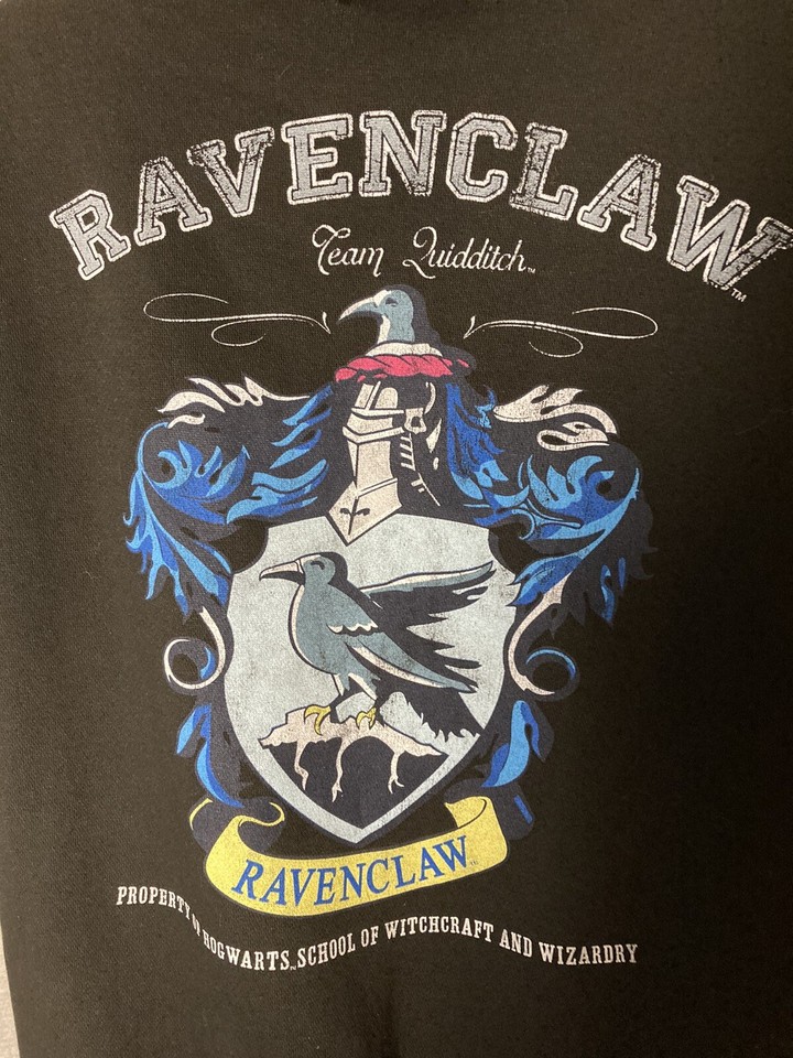 Harry Potter Hogwarts Ravenclaw Team Quidditch Light Varsity Jacket ...