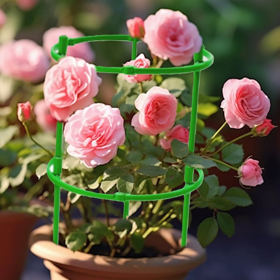 Tomato Cage Robust Tomato Cage Plant Support Sturdy Support Easy ...