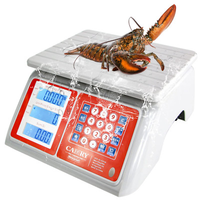 Scales - Seafood Scale