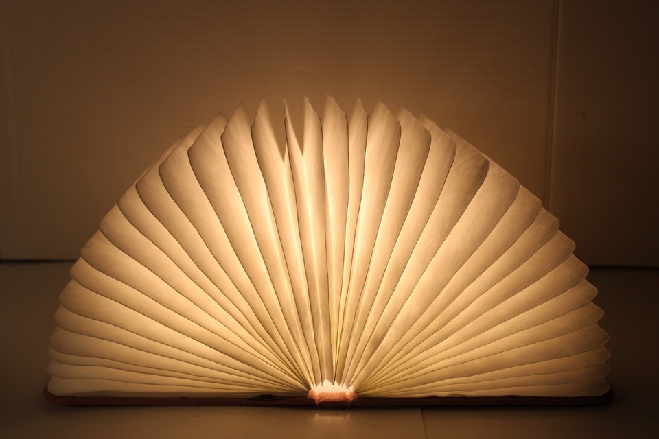 Gingko LED Book Desk Light With Rechargeable USB | eBay