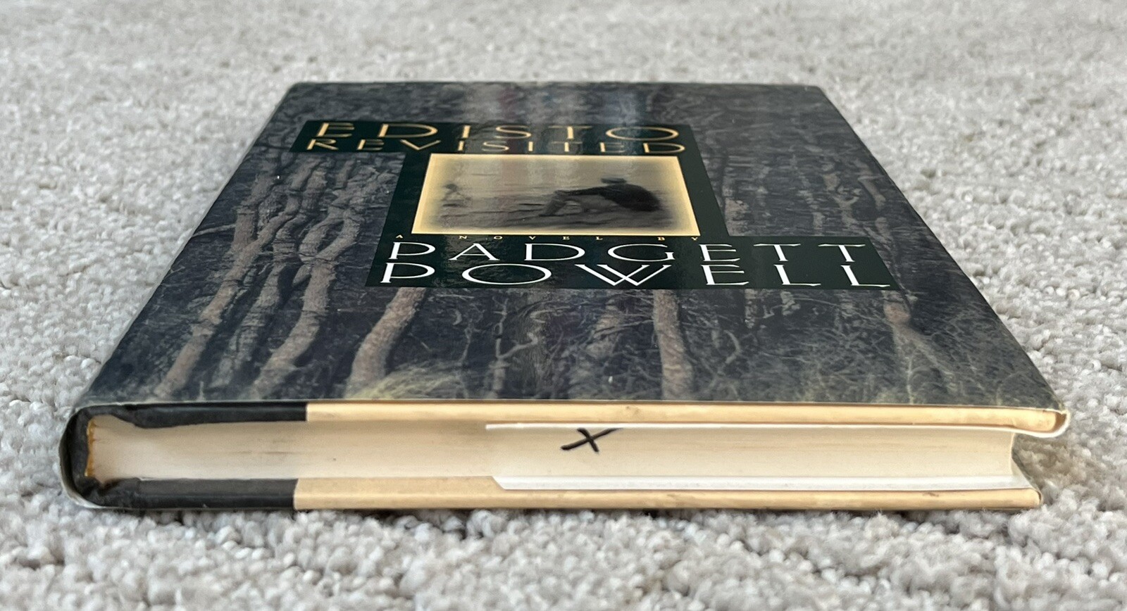 EDISTO REVISITED By Padgett Powell - Hardcover 9780805042375| eBay