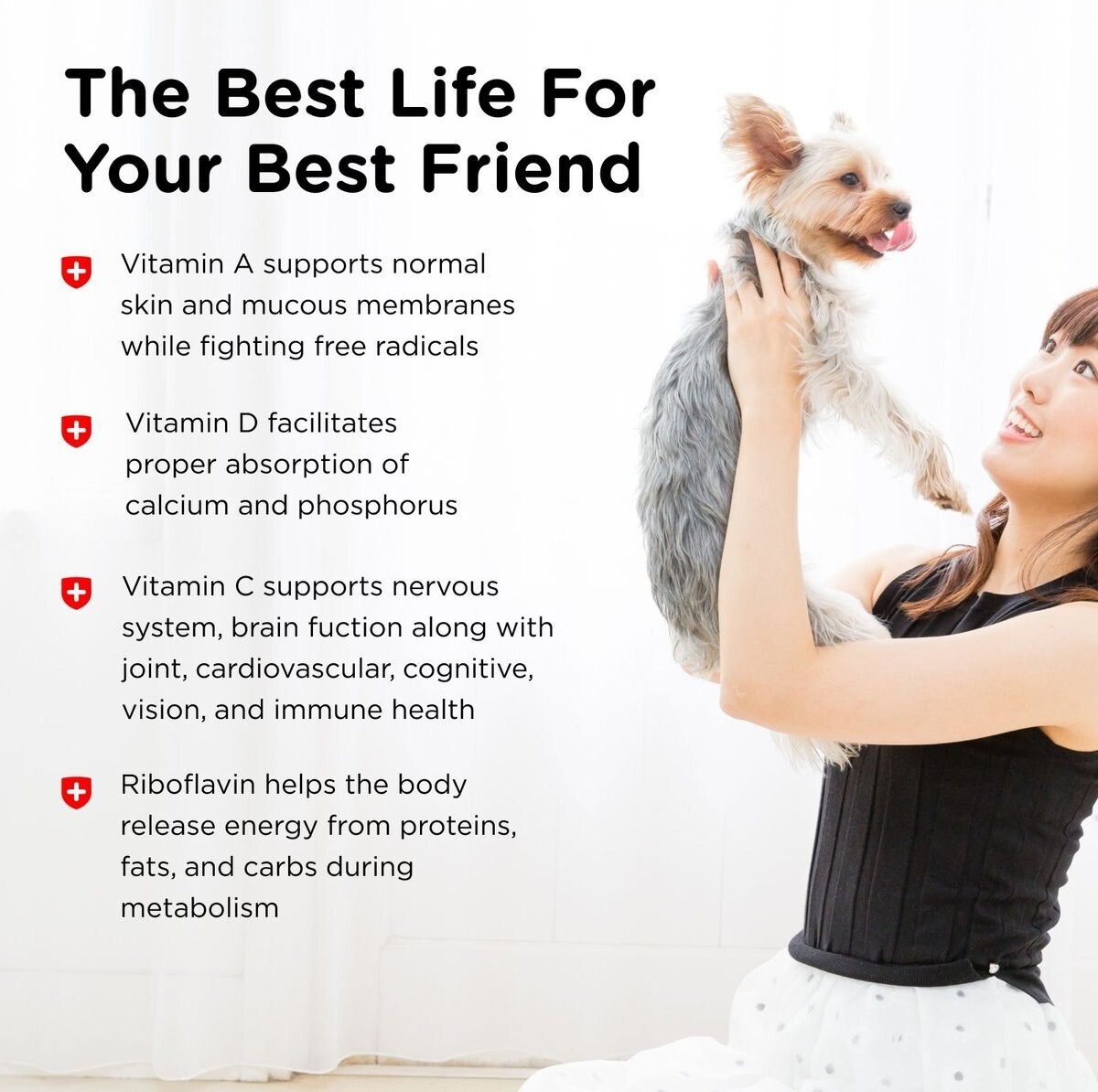 Nutri-Vet Multi-Vite Daily Vitamins & Mineral Support for Adult Dogs 60 ...