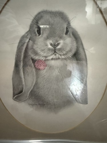 Rabbit & Flower Framed Drawing - Virginia Miller Signed 14x11” Charcoal ...