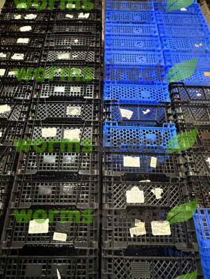 14x Plastic Stackable Storage Trays (mushroom trays) - Can be used for ...