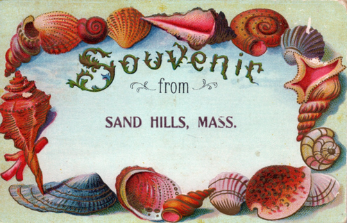 1910 Sand Hill Massachusetts Shell Border Souvenir Postcard | eBay