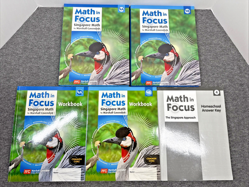 Lot of 5 Singapore Math in Focus 4th Grade 4A 4B Homeschool Curriculum ...