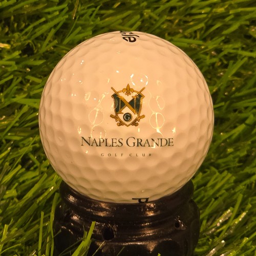 Naples Grande Golf Club — Naples, FL Logo Golf Ball | eBay