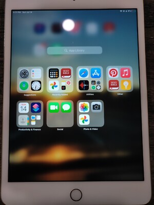 Apple iPad mini 4 16GB, Wi-Fi + Cellular (Unlocked), 7.9in - Gold ...