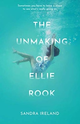 The Unmaking of Ellie Rook by Sandra Ireland Book The Fast Free ...