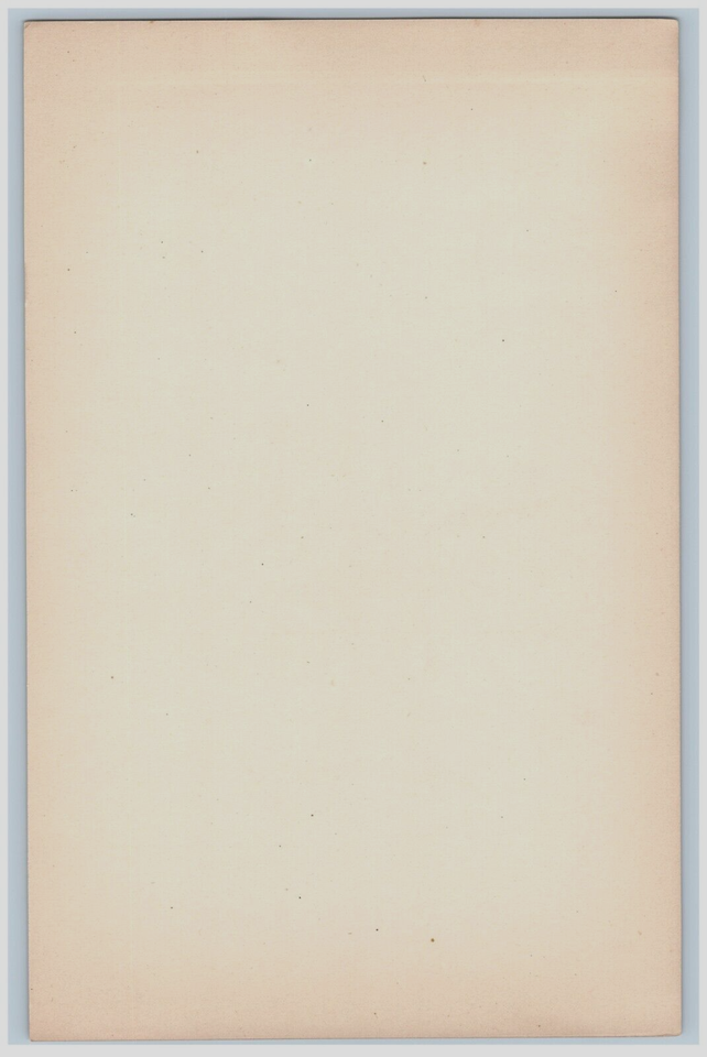 1860's John Sowerby Hand Colored Botanical Print Tea-Leaved Sallow K2B ...