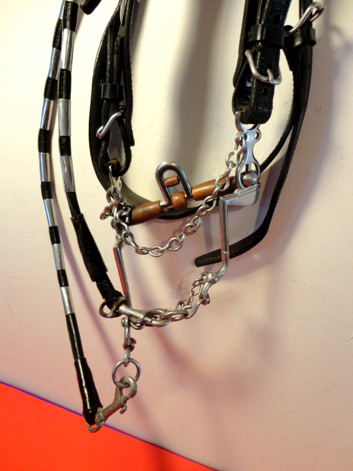 Vintage Black Leather Western Bridle Reins Bits and Breast Plate with ...