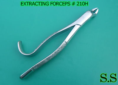 Dental Extracting Forceps 210H Dental Instruments New | eBay