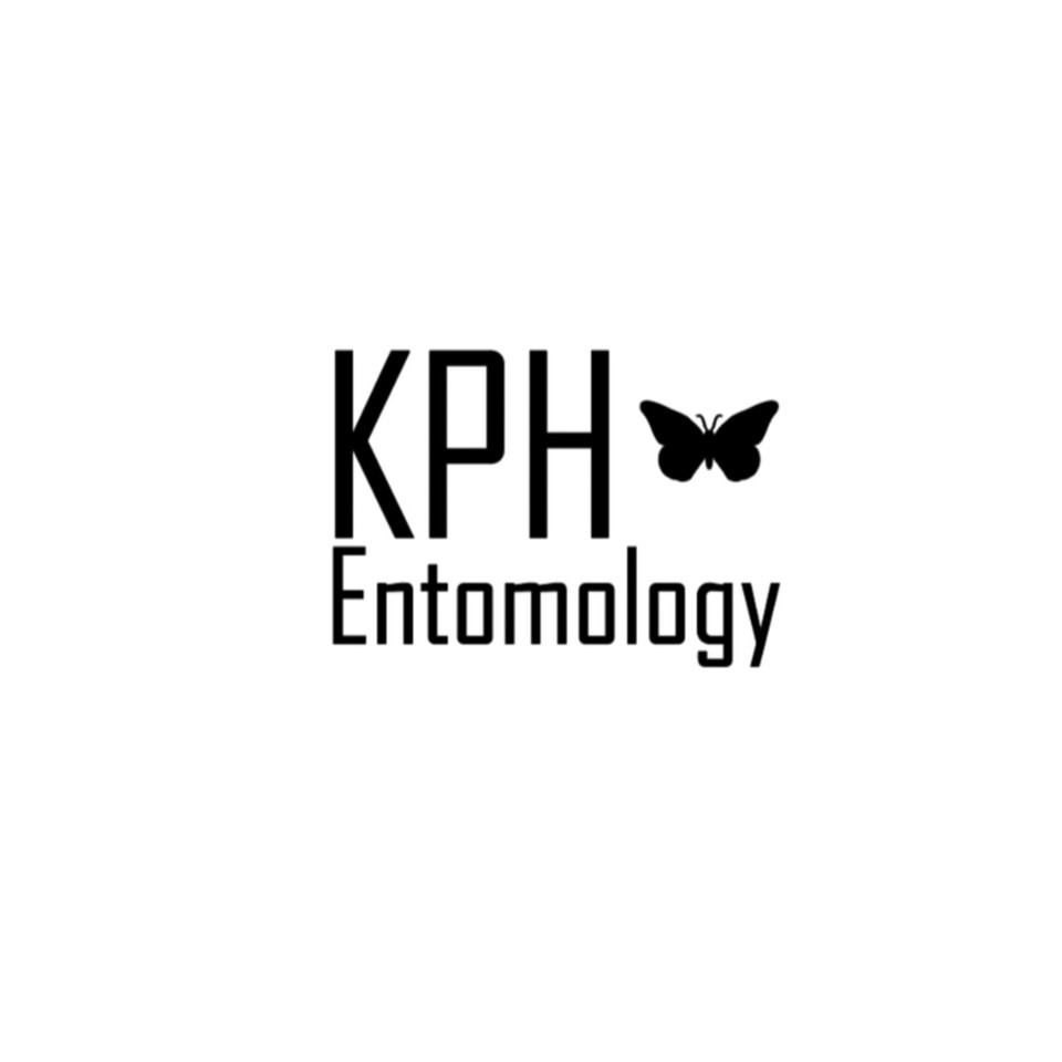 Tragocephala Jucunda. Longhorn Beetle Dome. Glass. Entomology Display ...