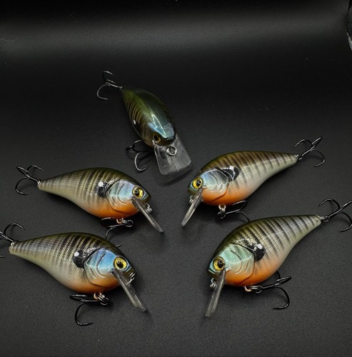 Custom Painted Lucky Craft 1.5 KO Square Bill "Dō Tora Gill" (One) BKK ...