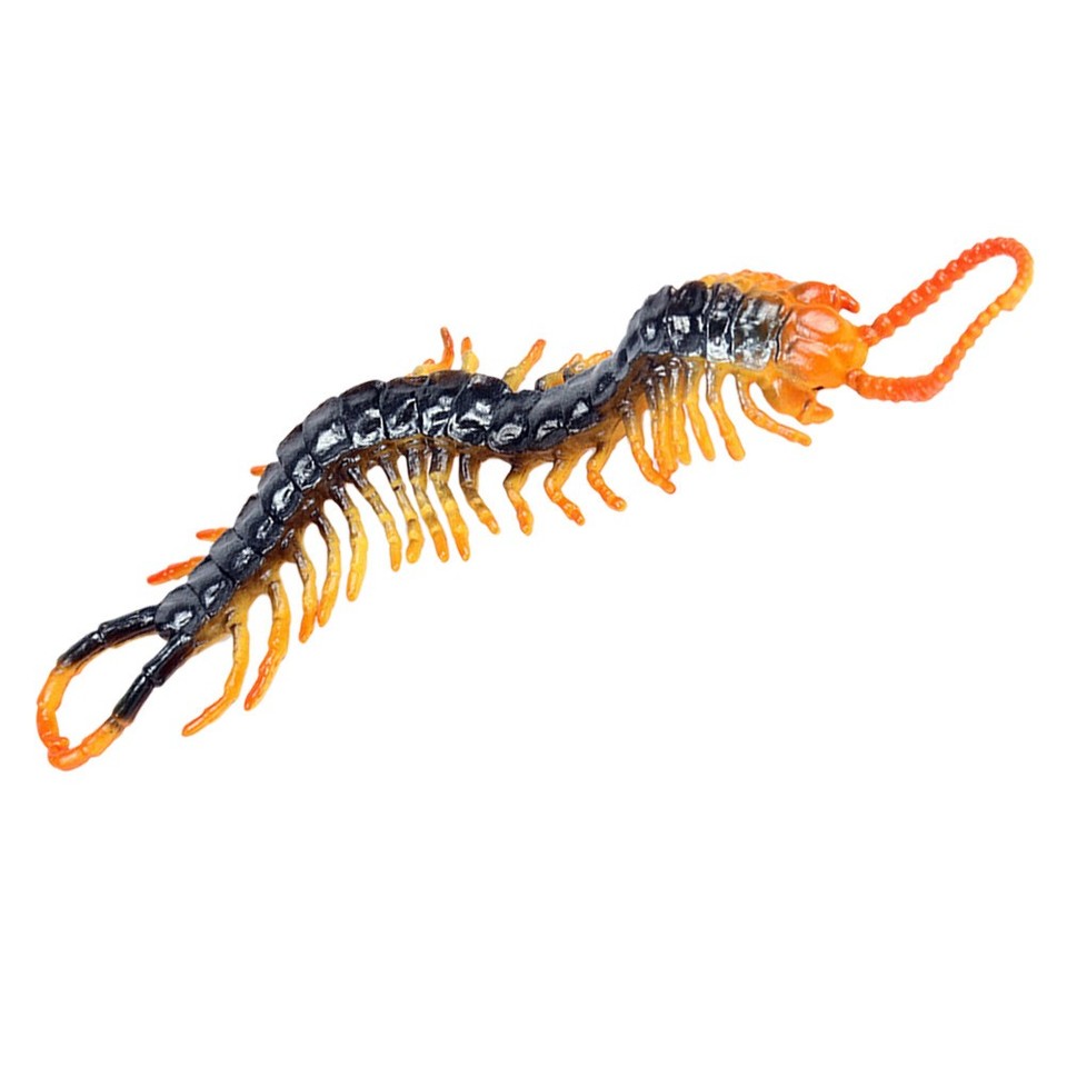 Simulation Wild Animal Toys Giant Desert Centipede Fake Model for Kids ...