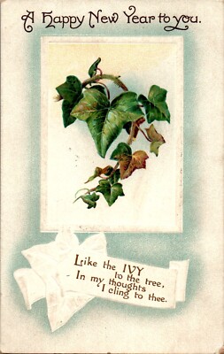 Happy New Year, Ivy, Poem, 1914 Postcard | eBay