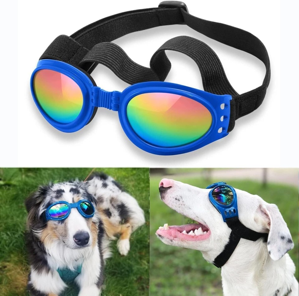 Sprocker Spaniel Dog Sunglasses Polarized UV Pet Doggles Eye Protection ...