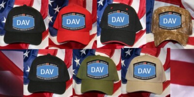 DISABLED AMERICAN VETERAN DAV USAF HAT PATCH CAP US AIR FORCE PIN UP ...