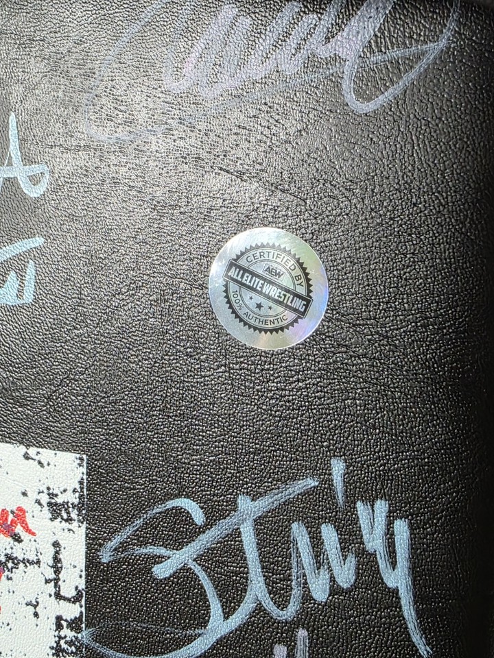 2022 AEW All Out Autographed Turnbuckle | eBay