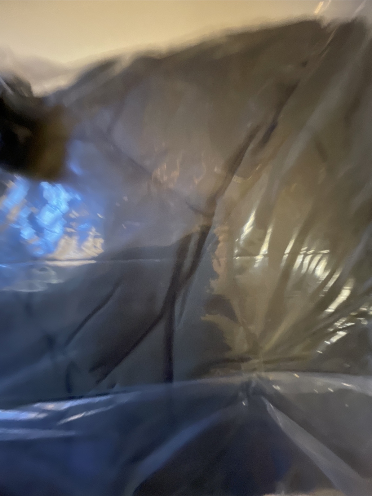 Lucky Brand Men's Green Reginald Quilt Bomber Jacket Size XL cold ...