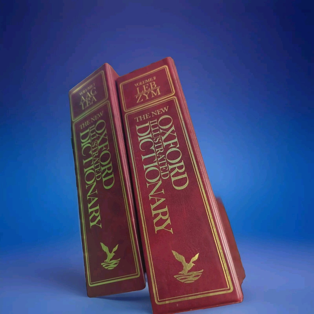 Illustrated Meaning Children's Illustrated Dictionary – Books And
