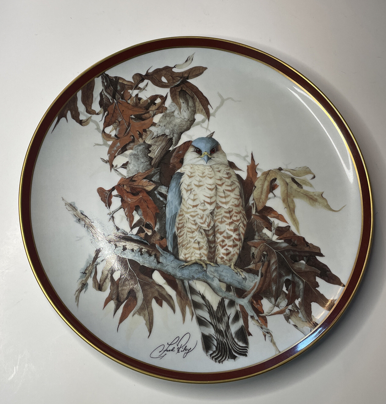 The Hamilton Collection Cooper’s Hawk Plate Majestic Birds of Prey ...