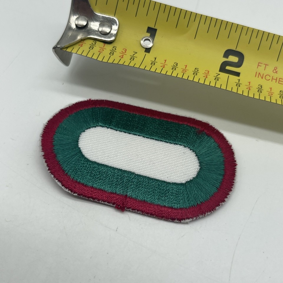 U.S. Military 311th Military Intelligence ASA 101st Airborne Oval Patch ...