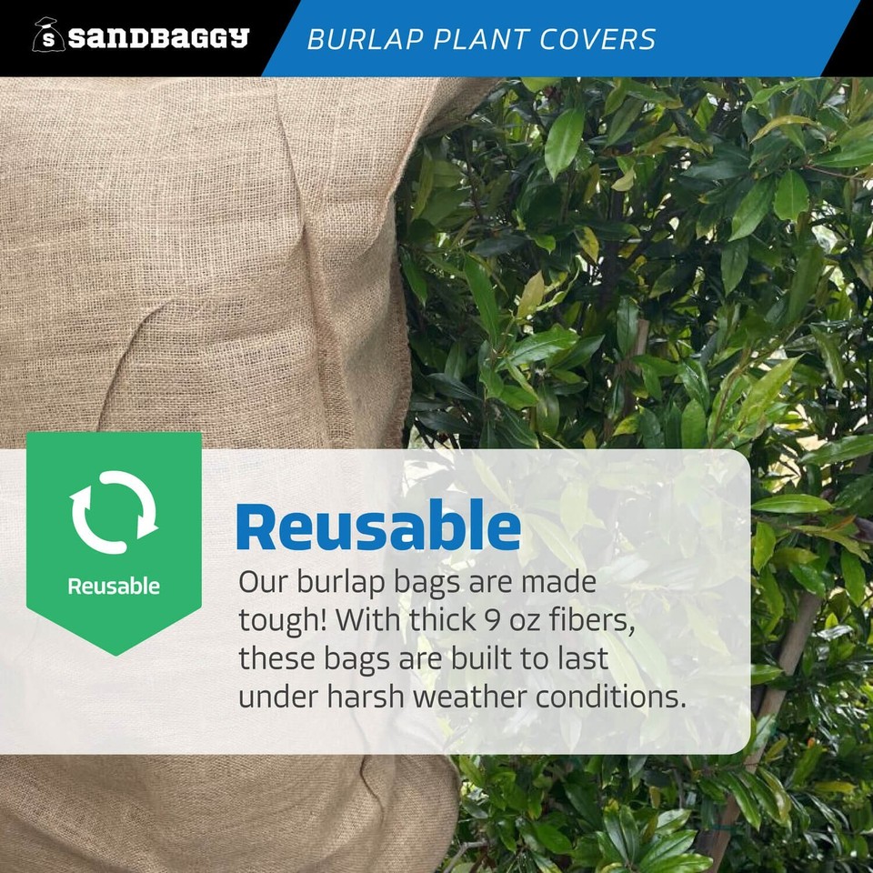 Sandbaggy 24" x 40" Burlap Plant Covers - Frost Protection For Trees ...