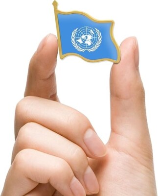 United Nation Waving Flag Lapel Pins, UN Flag Metal Pin | eBay