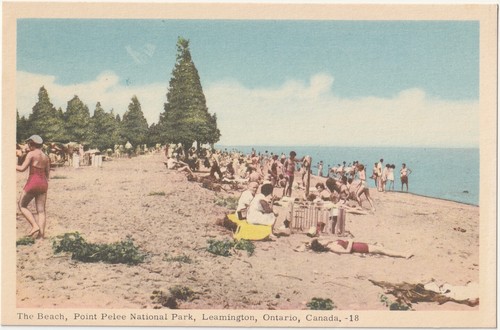 1930s~Point Pelee National Park~Beach Bathers~Leamington Ontario~VTG ...