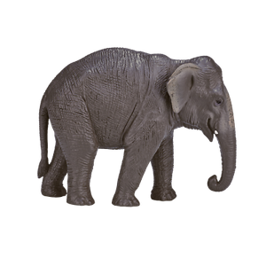Mojo ASIAN ELEPHANT Wild zoo animal play model figure toy plastic ...