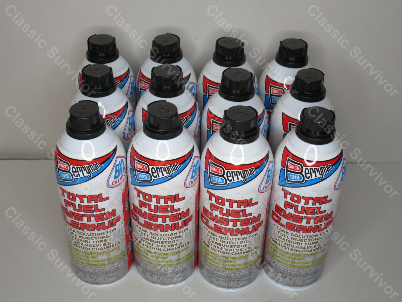 Berryman 2616 B-12 Chemtool Total Fuel System Clean-Up - 15 oz. Case of ...