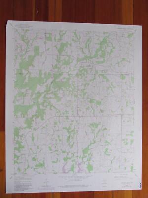 Pleasant Grove Texas 1980 Original Vintage USGS Topo Map | eBay