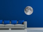 Large Moon Print High Resolution Image on removable vinyl | eBay