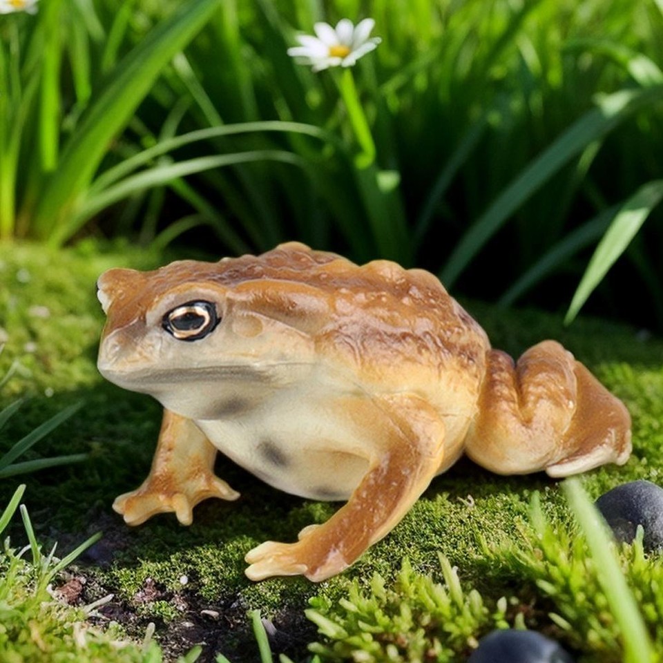 Realistic Frog and Toad Animal Figurines Model Educational Toy GX ST ...