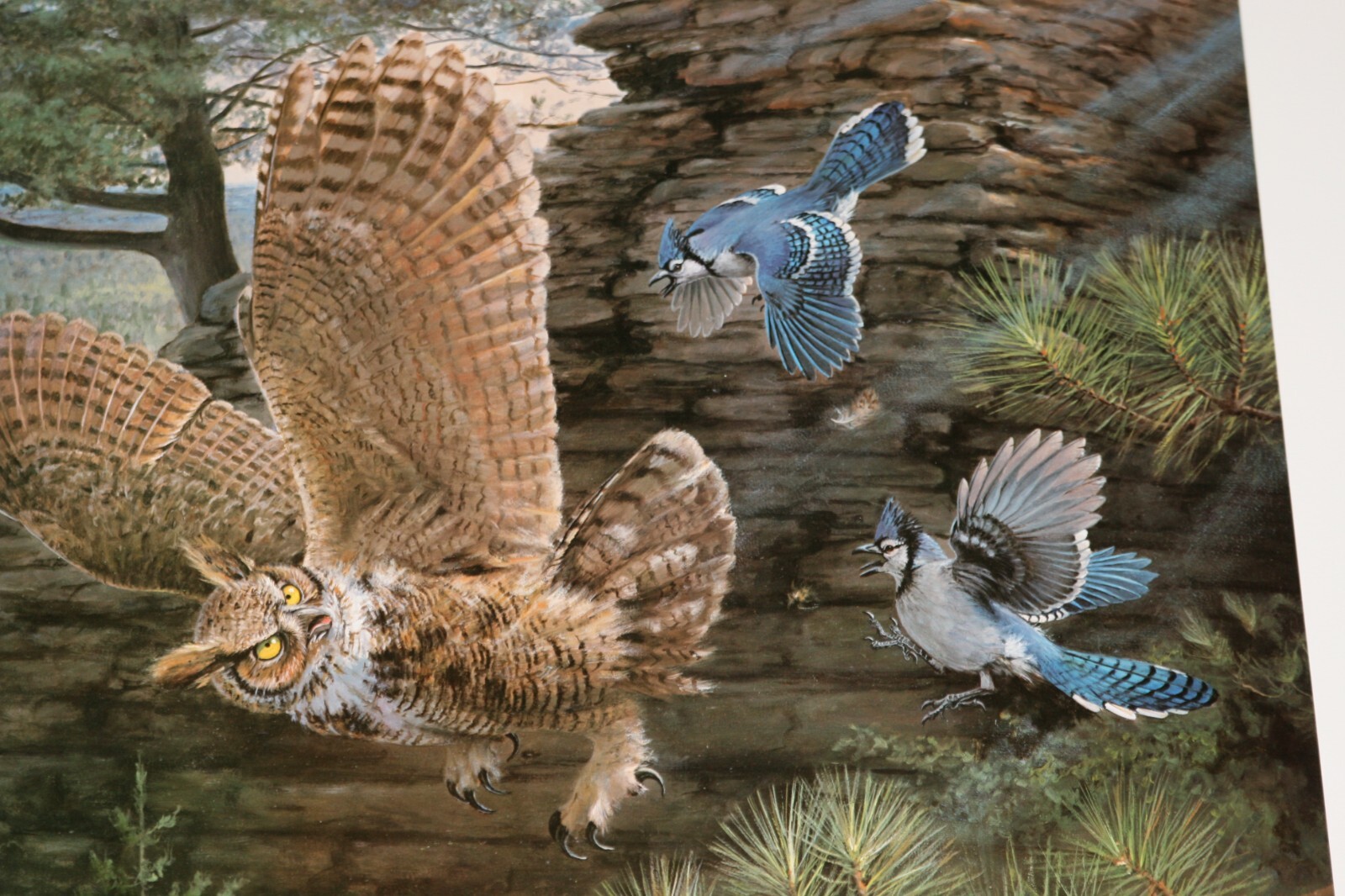 Owen Gromme Rascal's Revenge - Great Horned Owl Limited Edition Print ...