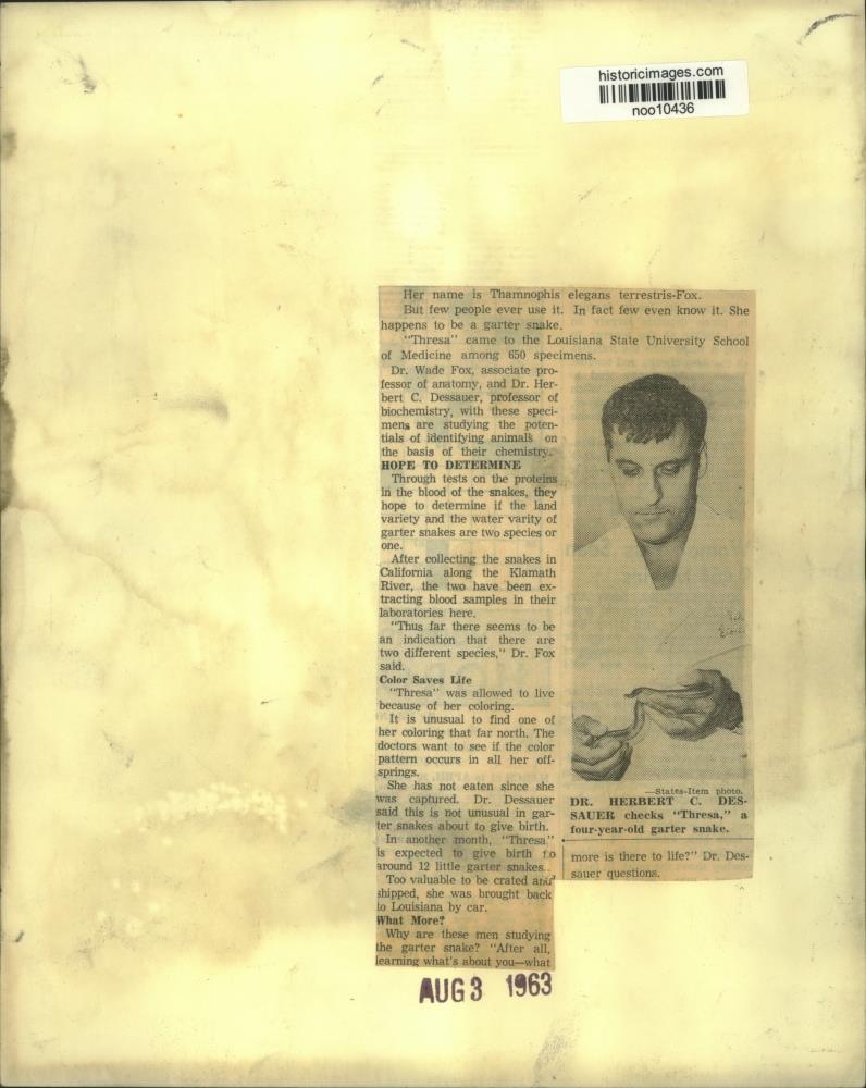 Herbert C. Wade Person