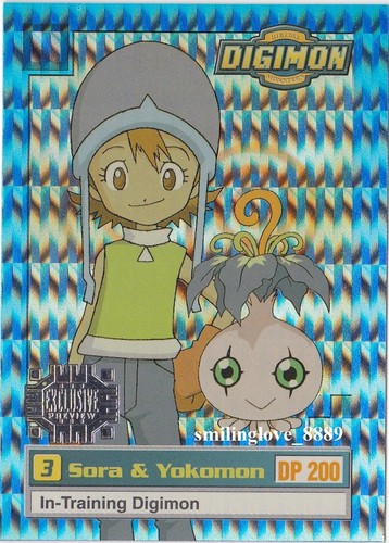 MINT DIGIMON ANIMATED SERIES 1 EXCLUSIVE PREVIEW TRADING CARD - SORA ...