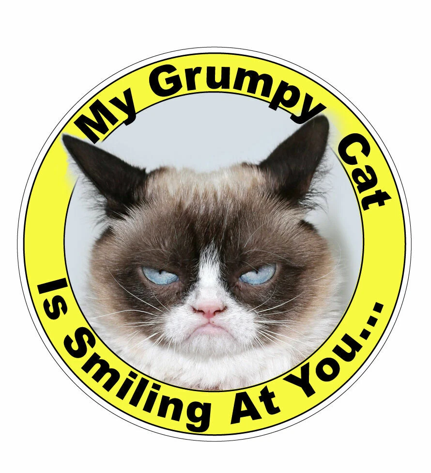 Grumpy Cat Smiling Good