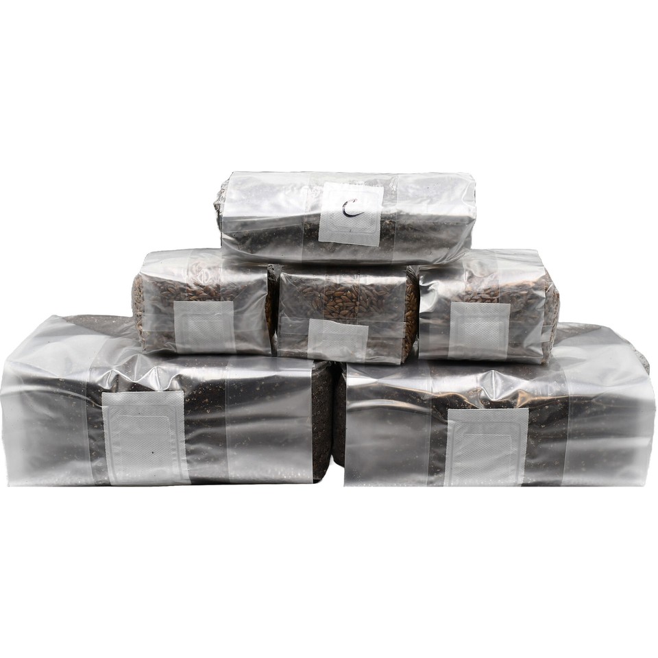 Mono Tub Fill Kit | Mushroom Substrate & Grain Spawn for 50-60 Quart ...