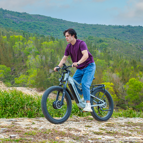 26'' Daul Shock EBike Full Suspension Mountain Bike 2000W 840WH Moped ...