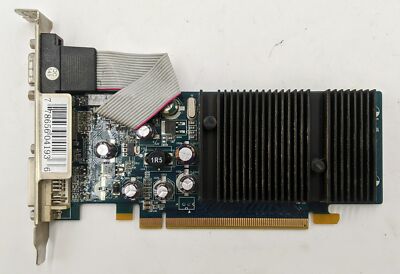 XFX GeForce 6500 256MB PCI-E Graphics Card- PV-T44F-RAMG | eBay