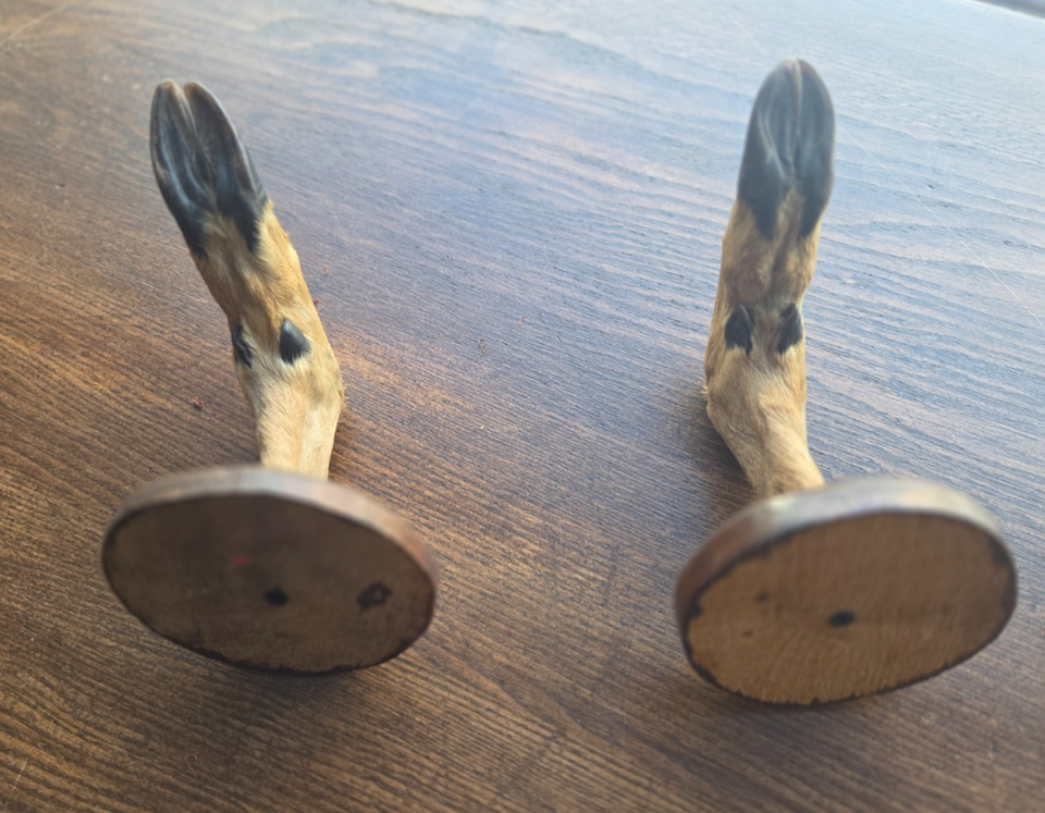 Taxidermy Deer Hoof Foot Feet Gun Rack on wood Plaques Gunrack | eBay