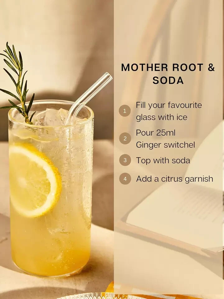 Mother Root Ginger Switchel Fiery & Fresh Alcohol-Free Drink Award ...