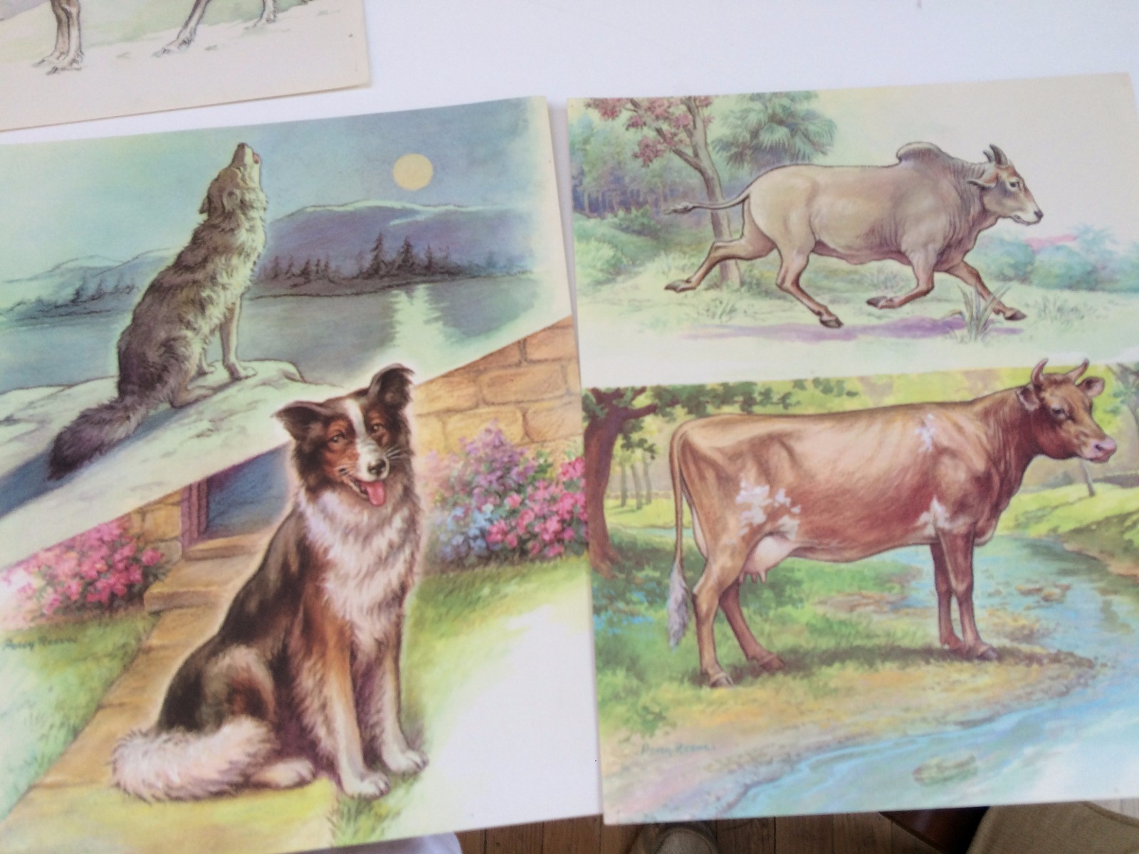 1930's Percy Reeves Domestic Animals Pictures Color Lithograph Prints ...