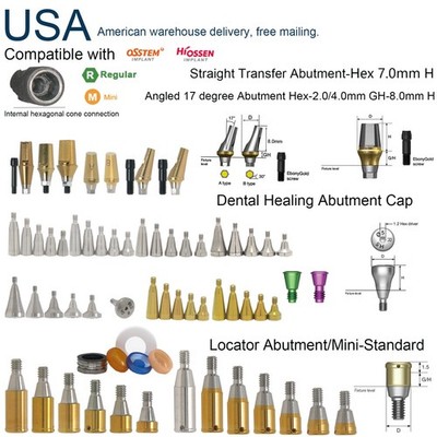 US Hiossen Dental Straight Locator Healing Cap Abutment Regular Mini ET ...